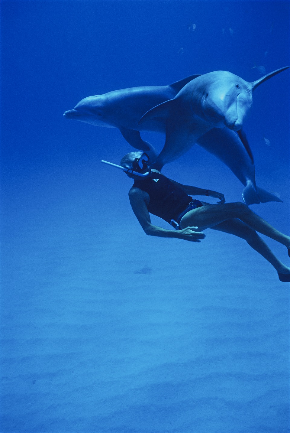 «Dolphin Man»: Αποκλειστικές φωτογραφίες από τον υποβρύχιο κόσμο του ...