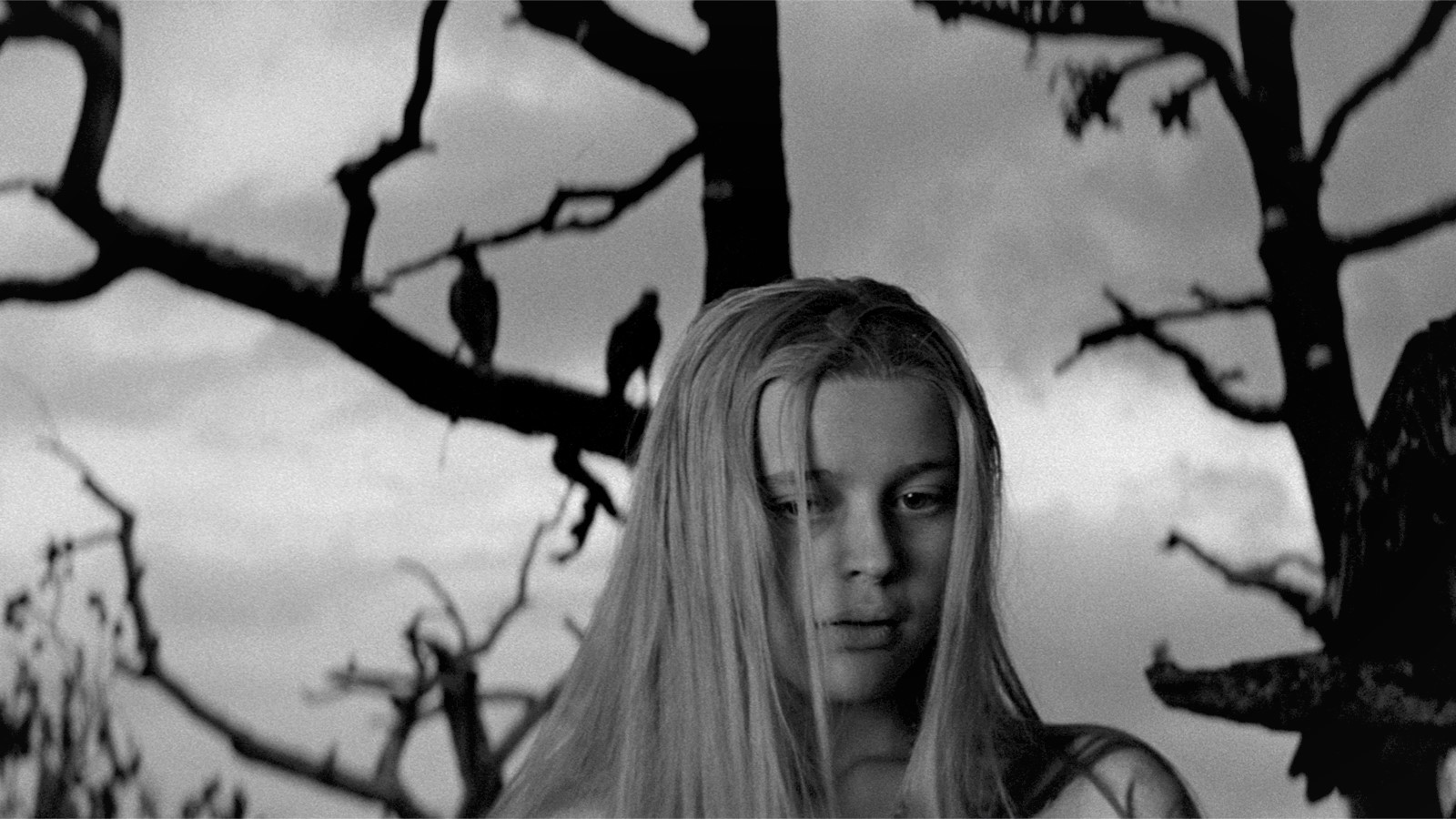 Essential Cinema #123: «Marketa Lazarová» (1967) του Φράντισεκ Βλάτσιλ ...