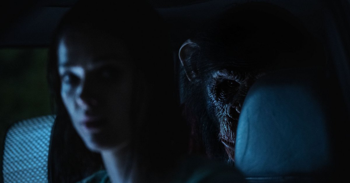 Primate - ταινιες || cinemagazine.gr